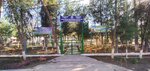 Kindergarten (No:80, 4-mitti-tumani, Karshi), anaokulları  Karşı'dan