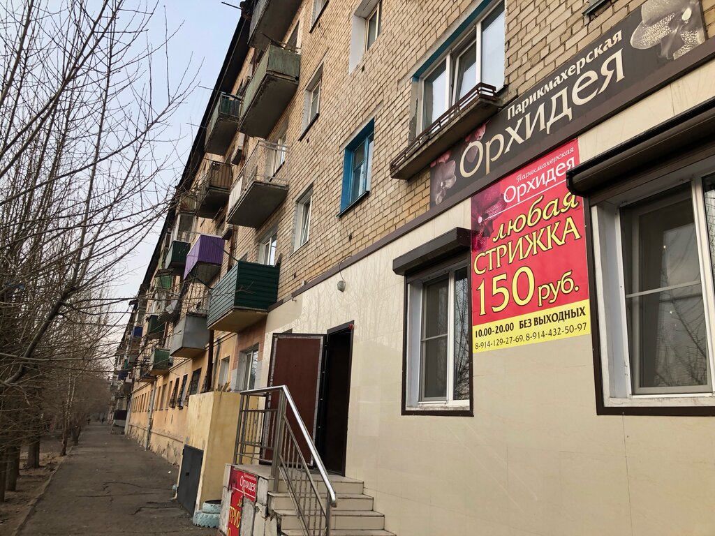 Kuaförler Орхидея, Çita, foto