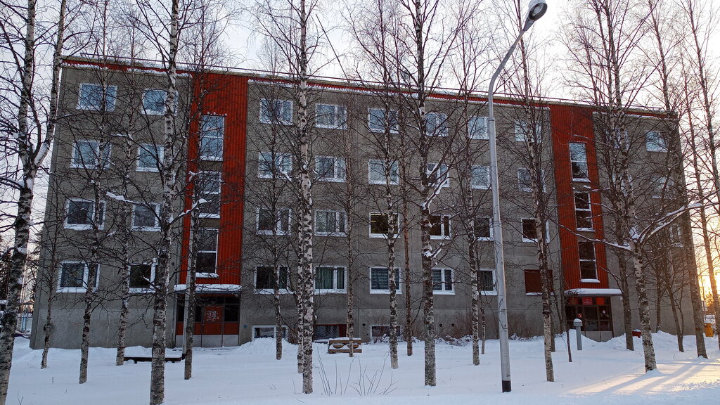 Devlet denetim organları Отдел надзорной деятельности и профилактической работы г. Костомукша, Kostomucsha, foto