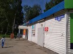 Цветы и семена (Archangel Region, Onega, Kozlova Street), çiçekçiler  Onega'dan