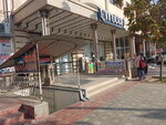 Pet Shop (Andizhan, Bobur Avenue), petshop  Andican'dan