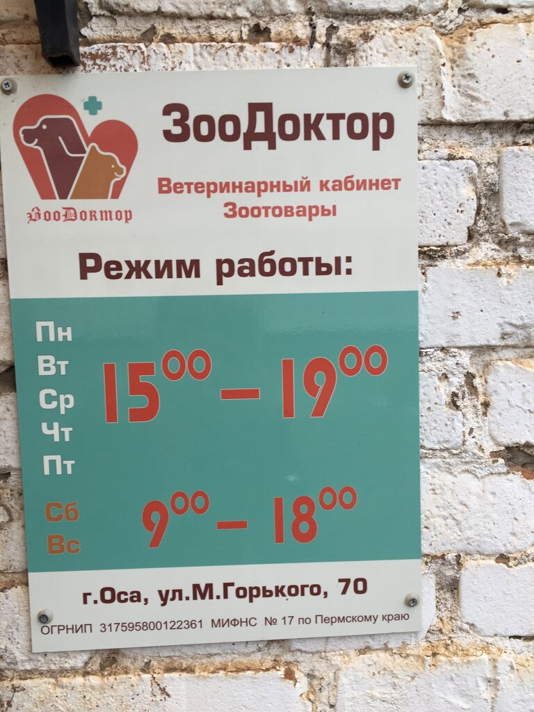 Veteriner klinikleri ЗооДоктор, Osa, foto