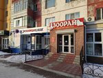 Зоорай (prospekt Druzhby Narodov No:25), petshop  Nerungri'den