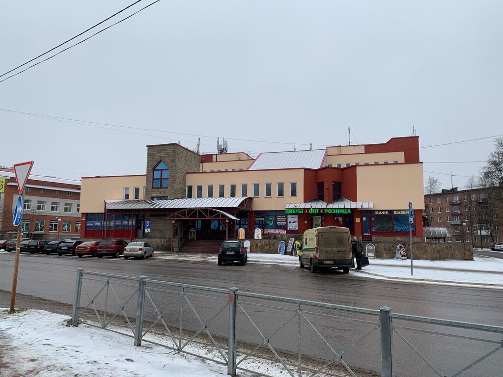 Lamba ve avize mağazaları Люстры, Kingisepp, foto
