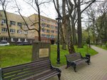 Сквер Энергетиков (Mira Avenue No:5А), meydan  Kaliningrad'dan