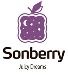 Sonberry (ulitsa Rabochego Shtaba No:66А), yatak üreticileri  Irkutsk'tan