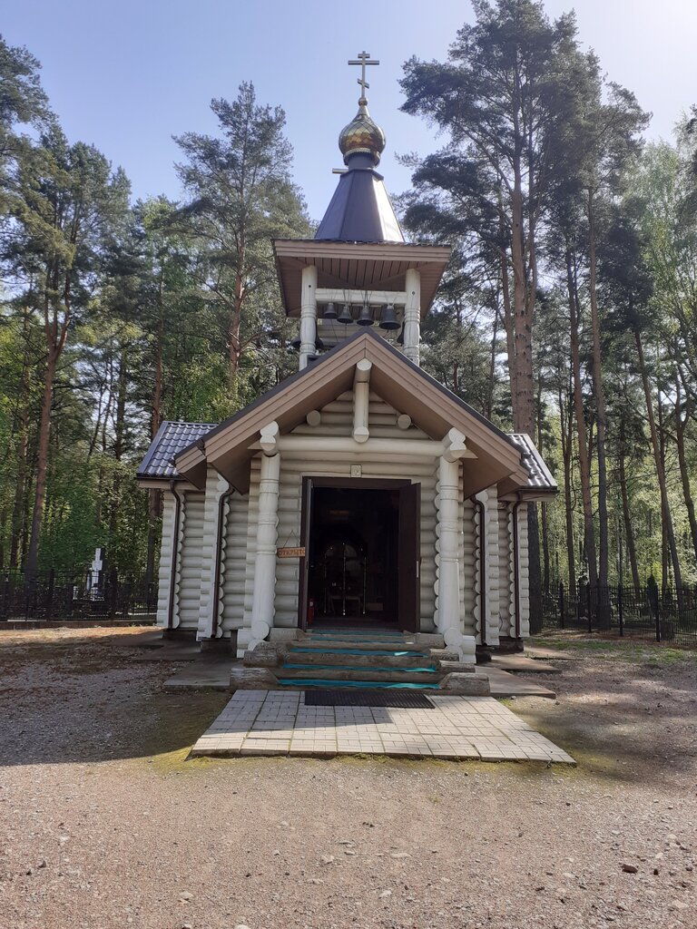 Mezarlıklar Муниципальное кладбище Аннинского городского поселения, Saint‑Petersburg ve Leningradskaya oblastı, foto