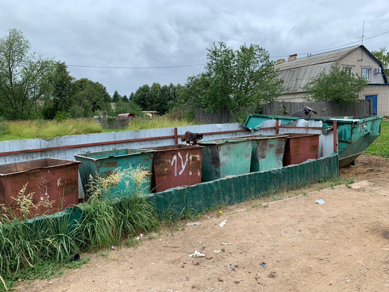 Çöp alanları Trash and garbage disposal area, Kostromskaya oblastı, foto