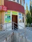 Автозапчасти (Generala Popova Street No:8А), otomobil yedek parçaları  Kaluga'dan