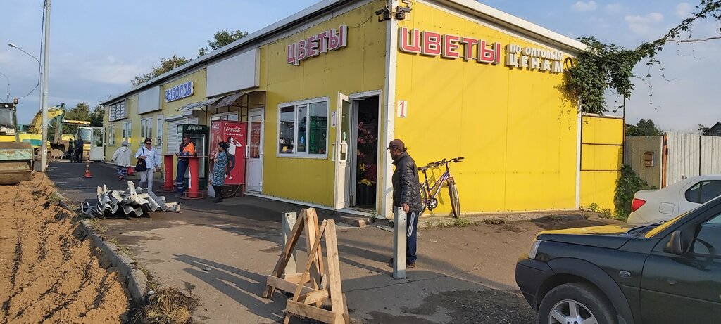 Çiçekçiler Цветы, Moskova ve Moskovskaya oblastı, foto
