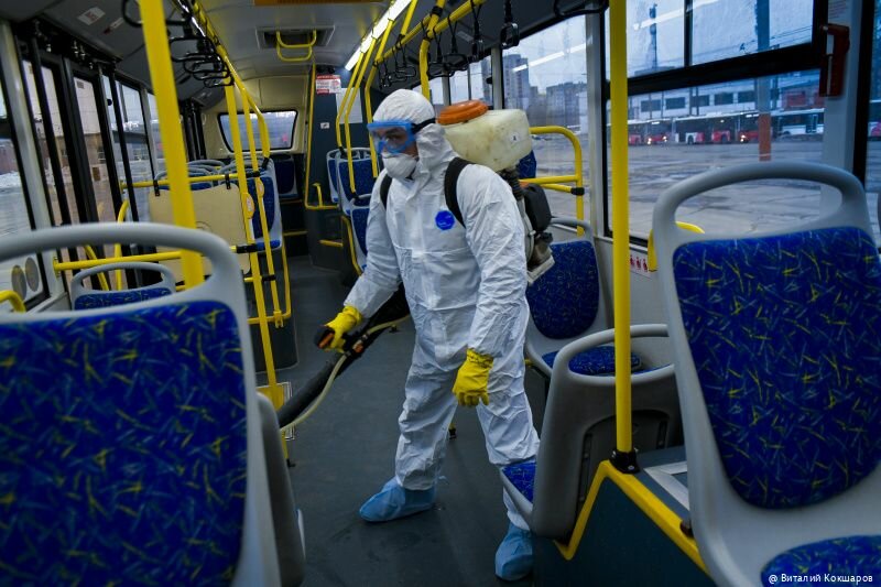 Haşere ilaçlama firmaları Gordezcentr, Yekaterinburg, foto