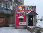 Цветы (ulitsa Chapayeva No:31), çiçekçiler  Vologda'dan