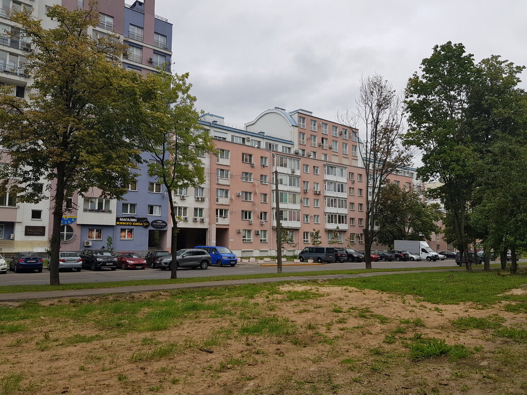 Güzellik salonu MonSPA, Minsk, foto