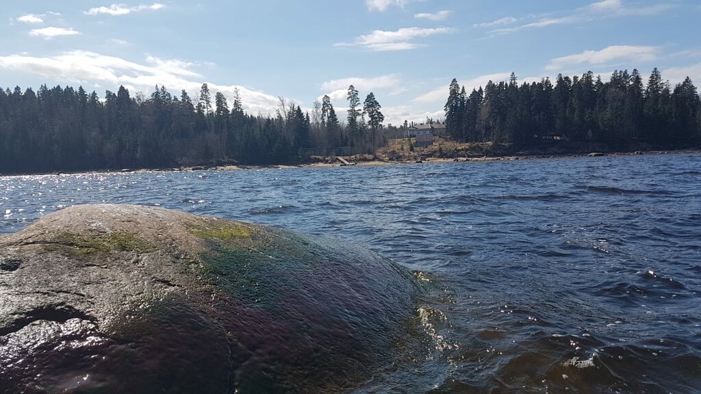Orman işleri Егерь, Saint‑Petersburg ve Leningradskaya oblastı, foto