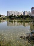 ZhK Karasunskiye ozera (Krasnodar, zhiloy massiv Pashkovskiy, Krayevaya ulitsa), konut blokları  Krasnodar'dan