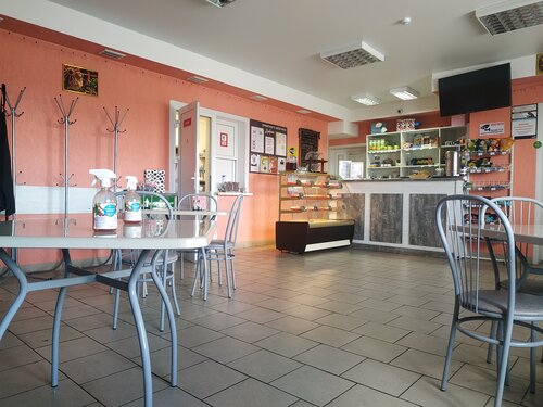 Kafe Dobryak cafe, Lipetskaya oblastı, foto
