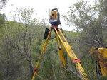 Dendrotec (Calle Diana No:25, Denia), arama çalışmaları