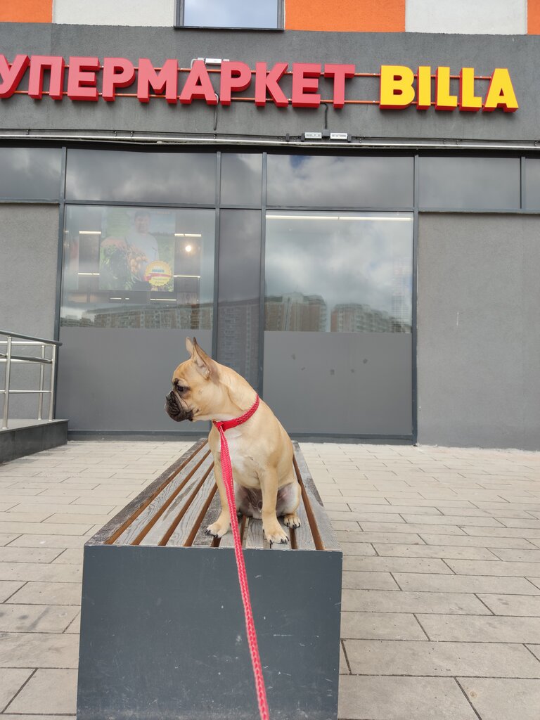 Süpermarket Billa, Himki, foto
