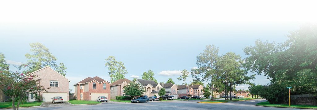 Haşere ilaçlama firmaları Truly Nolen Pest Control, Lexington, foto