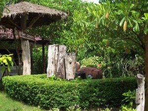 Sanita Cottage (Phuket, Thalang, Thep Krasattri, Don Jom Tao Road), otel