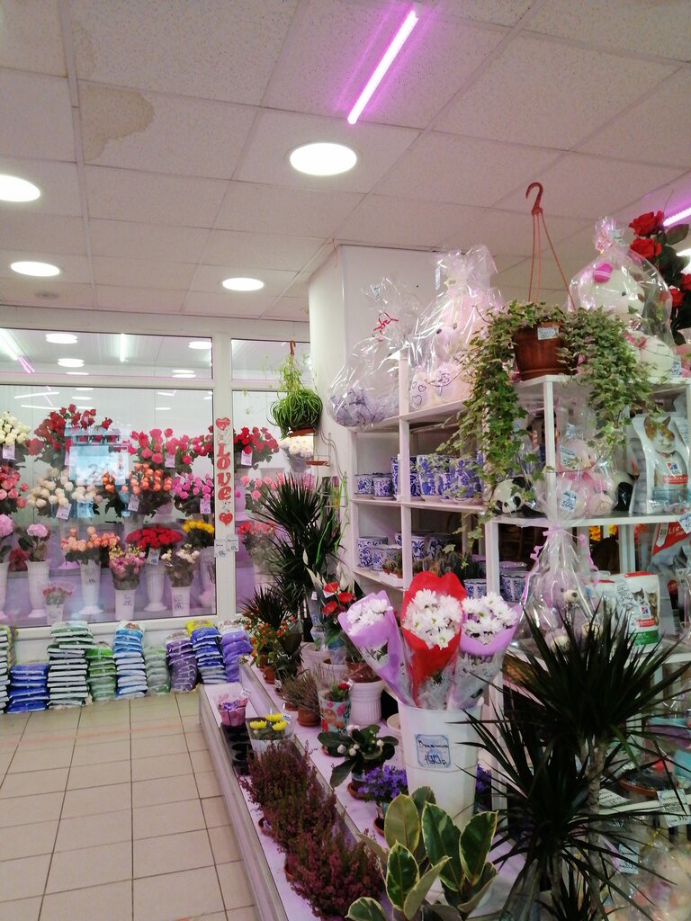 Çiçekçiler Tsvety 24, Saint‑Petersburg, foto