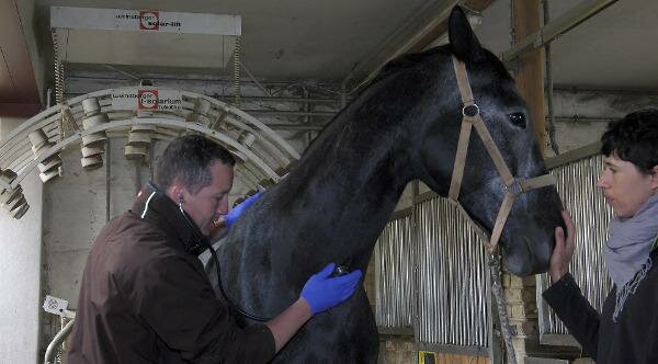 Veteriner klinikleri Tierärztliche Gemeinschaftspraxis Wieland & Fleischhacker, Dünya, foto