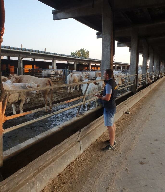 Veteriner klinikleri Fucci Dr. Daniele - Veterinario, Emilia‑Romagna, foto