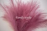 Family studio (Trudovye Rezervy Street No:28А), profesyonel fotoğraf stüdyosu  Novomoskovsk'tan