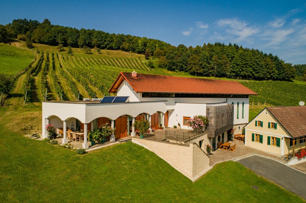 Şarap ve içki toptan satışları Weingut Gwaltl, Steiermark, foto