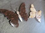 Steinarbeiten Hmd Naturstein & Fliesen GmbH München (Bavaria, Munich, Prießnitzstraße), i̇nşaat malzemeleri toptan  Münih'ten