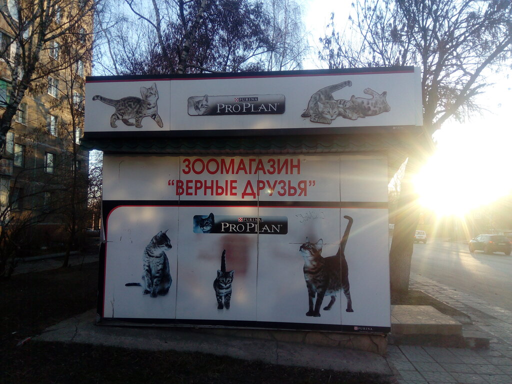 Petshop Верные друзья, Orel, foto
