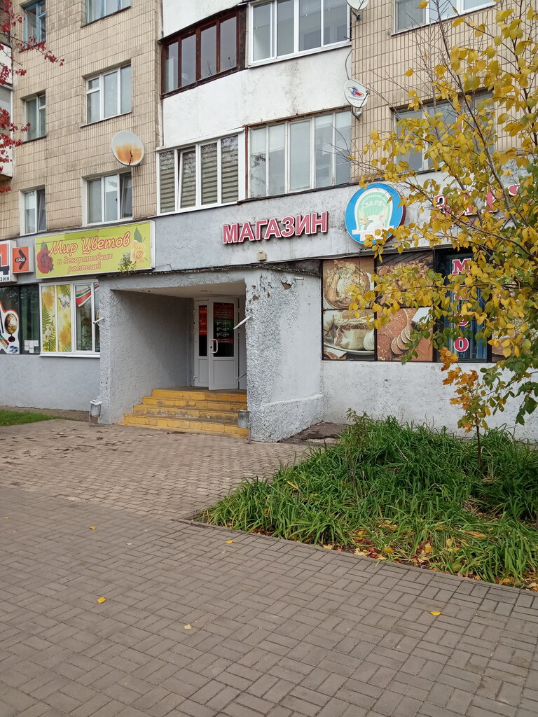 Çiçekçiler Mir Tsvetov i Dekorativnykh Rasteny magazin № 4 Kpup Mogilevzelenstroy, Moguilev, foto