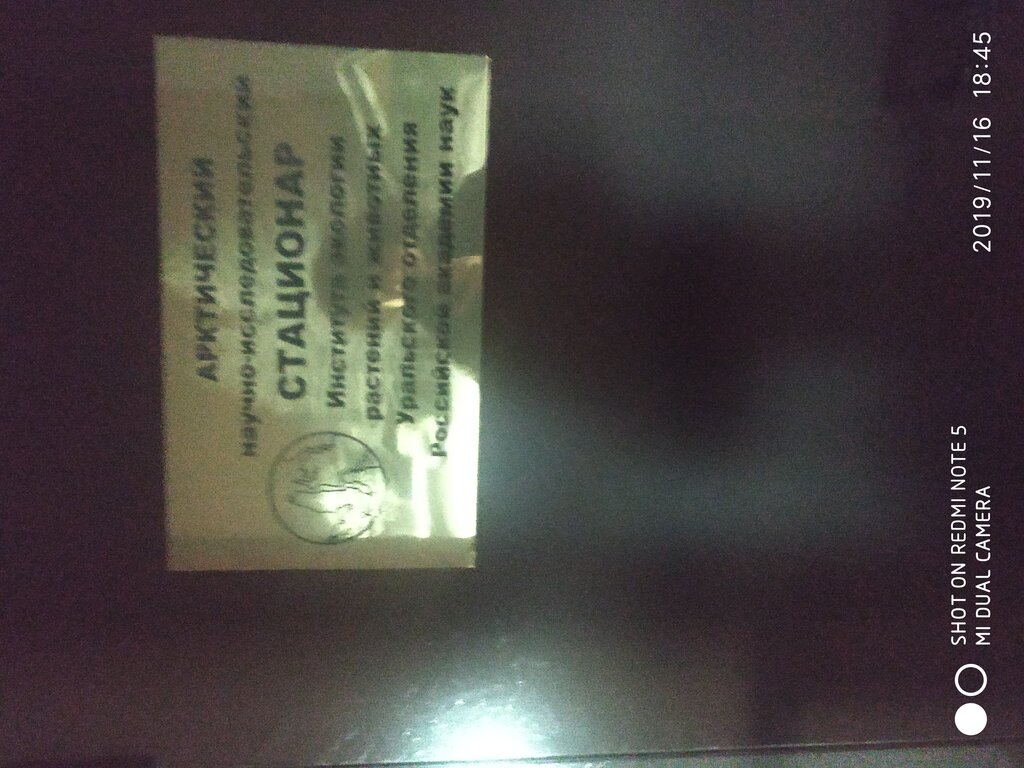 Çevre dernekleri Арктический научно-исследовательский стационар, Labytnangi, foto