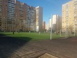 Стадион (Saint Petersburg, Krasnoselskiy District, munitsipalny okrug Yuzhno-Primorskiy), stadyum  Saint‑Petersburg'dan