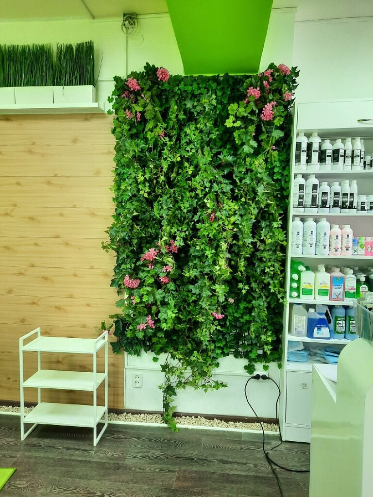 Kuaför meslek eğitimi Loft Studio, Samara, foto