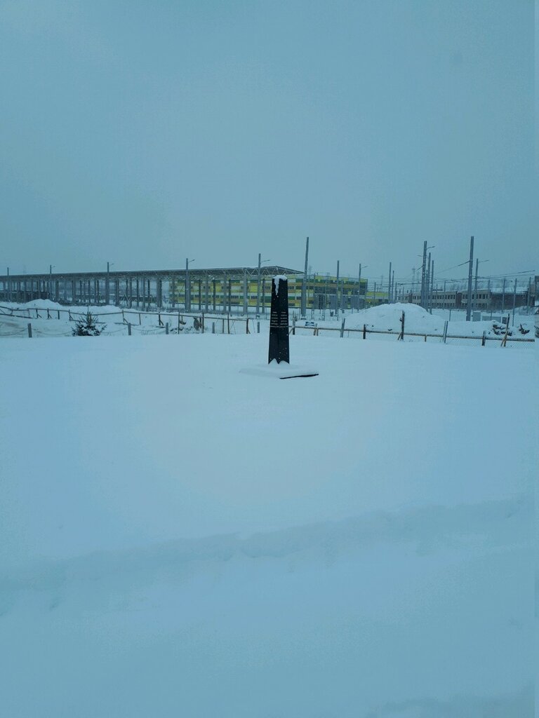 Anıt, heykel Памятный обелиск, Saint‑Petersburg, foto