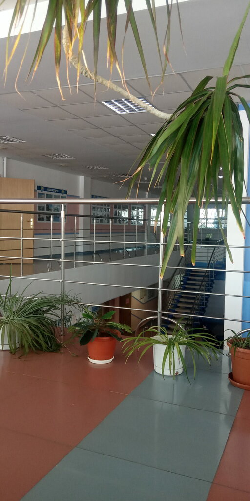 Çok amaçlı spor tesisleri Mau Do Fok, Nijegorodskaya oblastı, foto