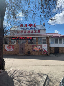 Orkhideya (No:160, Nevinnomyssk, SNT Kuban), kafe  Nevinnomissk'ten
