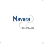 Mavera Gümrük Müşavirlik Hizmetleri (E-5 Yanyol Cad. (E-5 Londra Asfaltı Cad.), No:44A, Avcılar, İstanbul), gümrük hizmetleri  İstanbul'dan