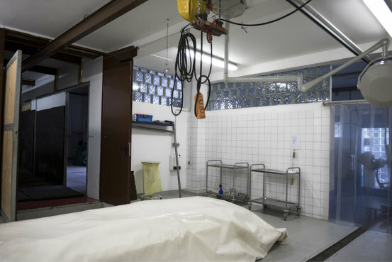 Veteriner klinikleri Tiergesundheitszentrum Wiesbaden-Bierstadt, Wiesbaden, foto