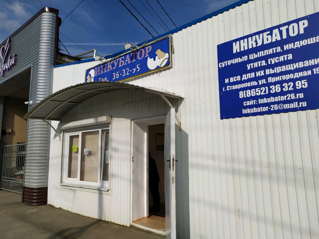 Yem ve yem katkı maddeleri Incubator Gerasimenko V. K., Stavropol, foto