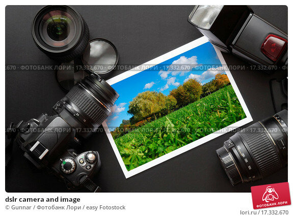 Fotoğraf hizmetleri Smart Service, Vidnoye, foto