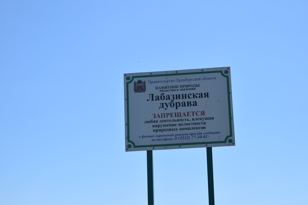 Doğa Лабазинская дубрава, Orenburgskaya oblastı, foto