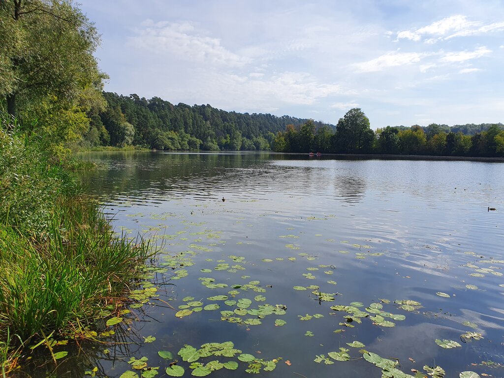 Turistik yerler Беседка на воде, Moskova ve Moskovskaya oblastı, foto