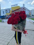 Салон цветов Эмма (Sevastopolskaya ulitsa No:101А), çiçek pazarı  Gubkin'den