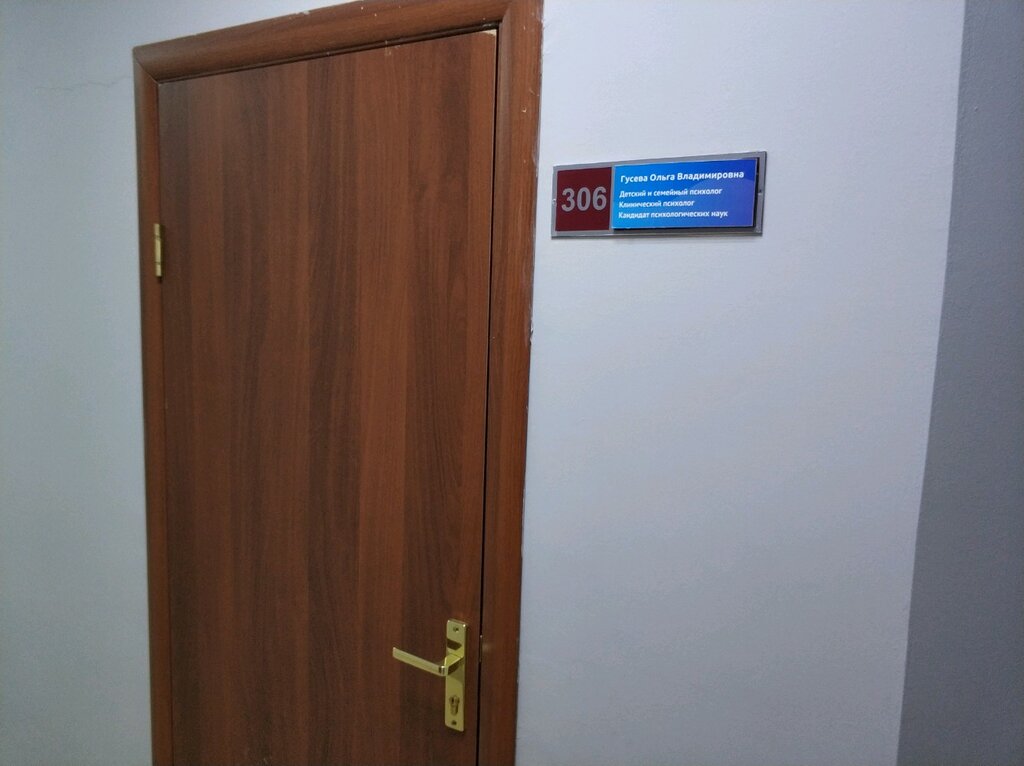 Aile danışmanlığı Кабинет психолога Гусевой О. В., Krasnoyarsk, foto