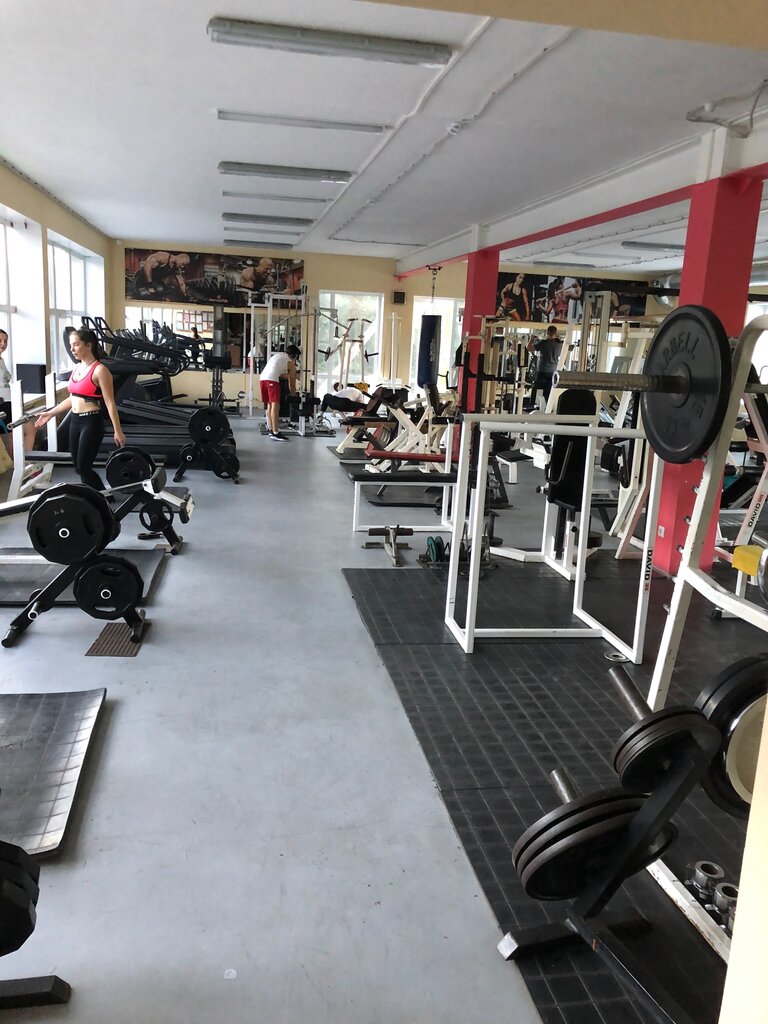 Fitness kulüpleri Gefest, Omsk, foto