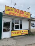 Раки (Belorusskaya ulitsa No:211), balık ve deniz ürünleri  Rostov‑na‑Donu'dan