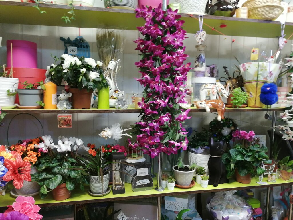 Çiçekçiler Vse tsvetochno!, Arhangelsk, foto