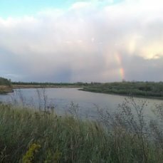 Lisanslı harita kadastro büroları Cadastral engineer Leonid lapaev, Riazanskaya oblastı, foto